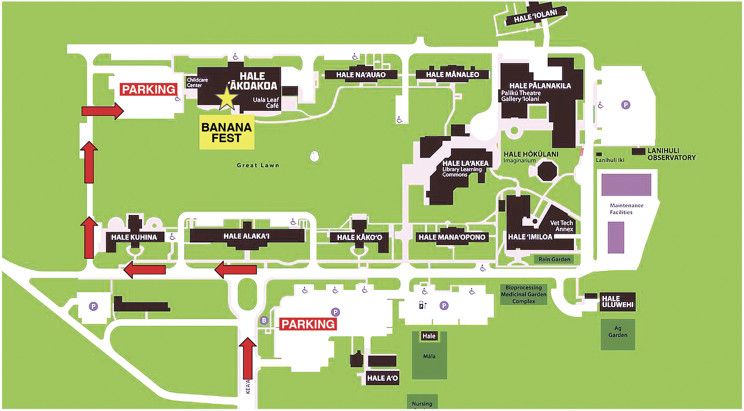 Banana Festival 2024