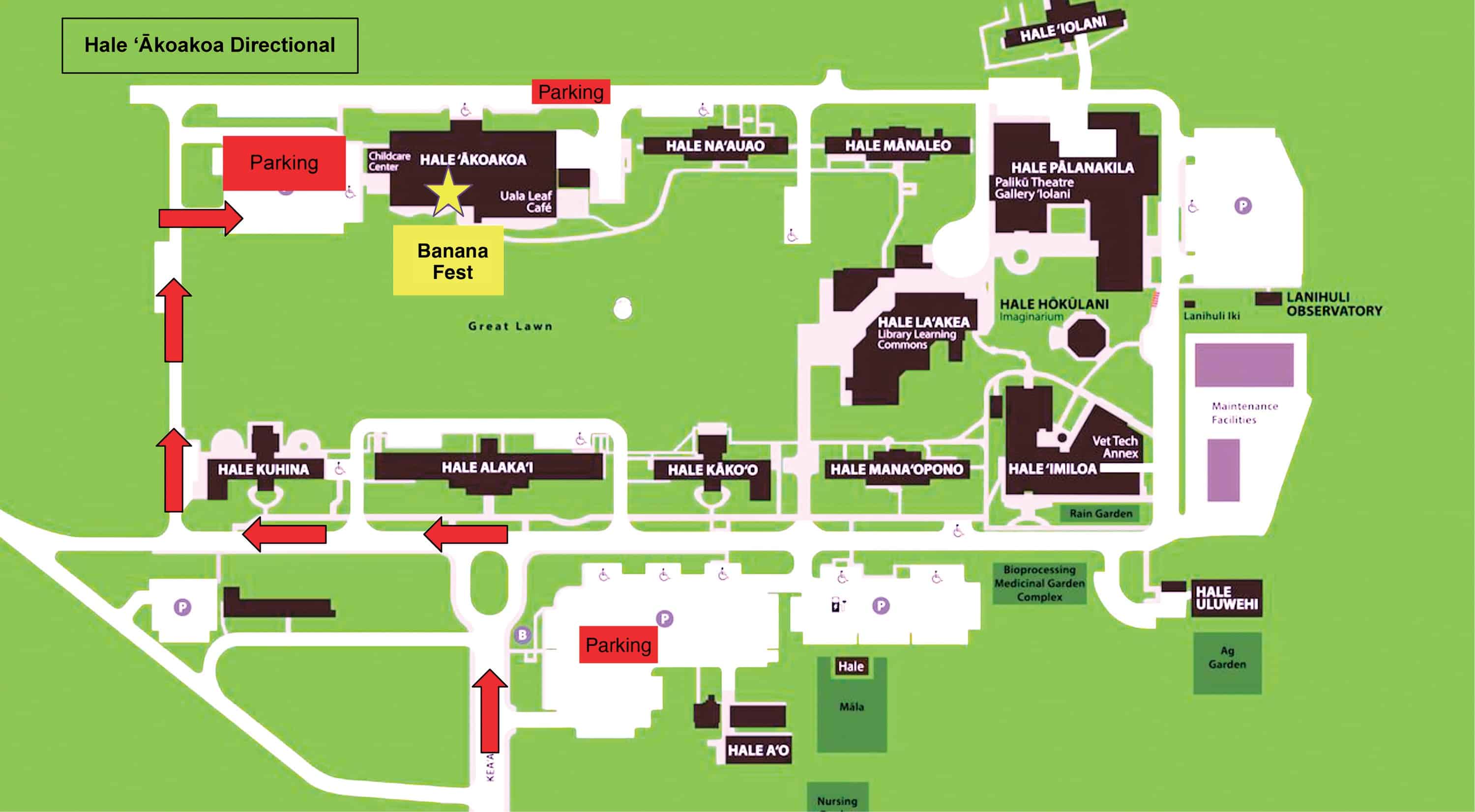 Banana Festival 2025